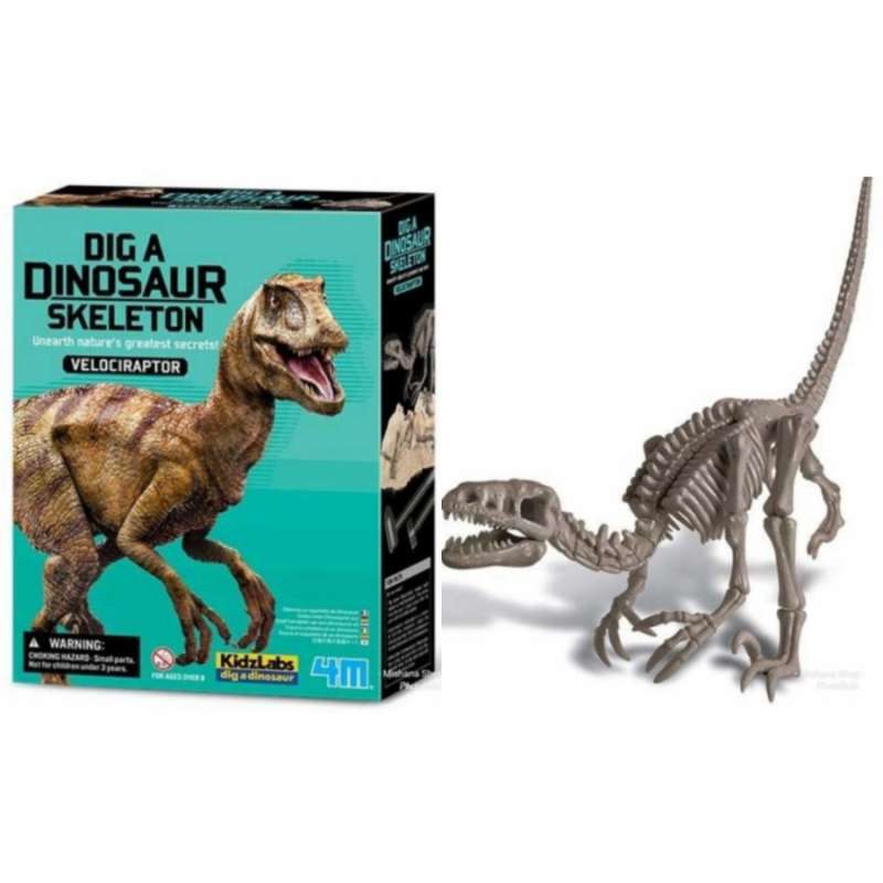 Jual Dig A Dinosaur Skeleton 4m Gali Tulang Velociraptor 21 Cm Di ...