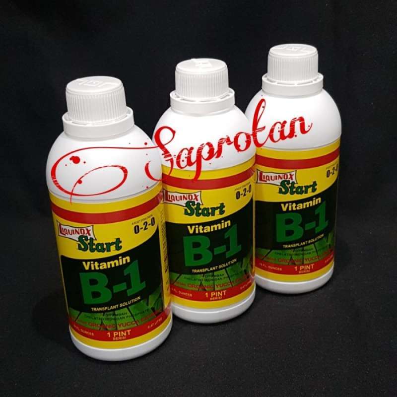 Promo VITAMIN B1 LIQUINOX 1 Pint (470 ml) ZPT hormon pupuk Diskon 33% di Seller Honey Living ...
