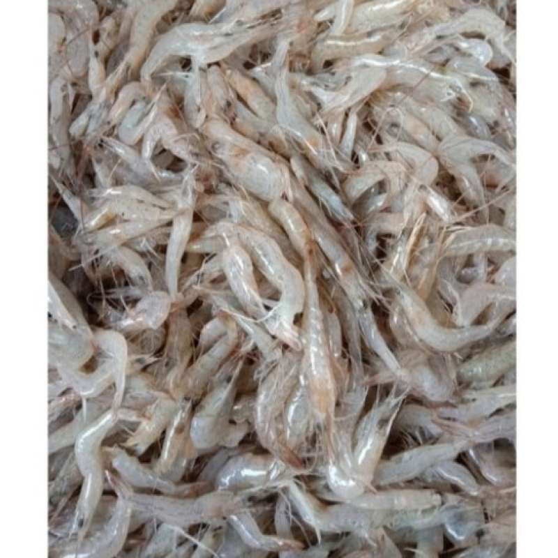 Jual Udang Peci Segar Size Kecil Di Seller Fikri Food - Pengasinan-2 ...