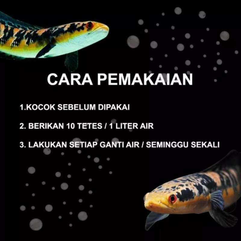 Jual Supleman Ikan Chana / Obat Probiotik Chana Mutasi Warna / Mutasi ...