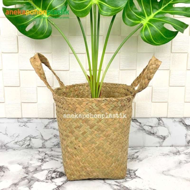 Promo Sale Pohon Daun Monstera X7 Latex Vas Dasar Cover Pot Anyaman ...