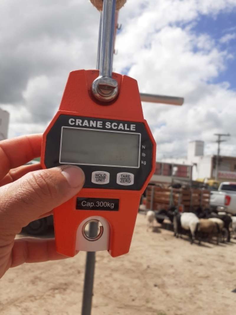 Promo Timbangan Digital Gantung ORI / Crane Scale 300kg Digital LED ...