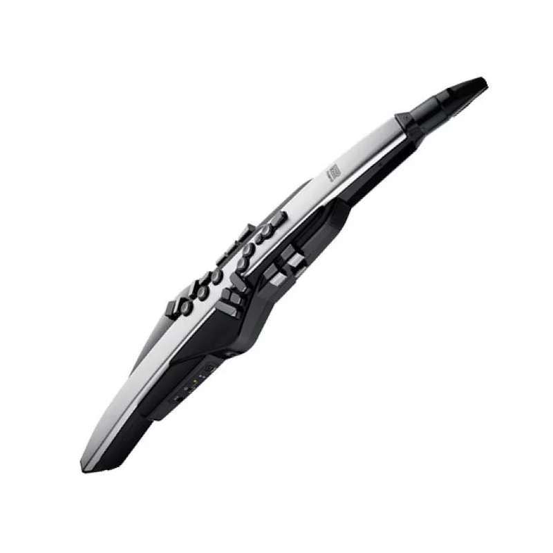 Jual Roland Aerophone Pro Ae-30 / Ae 30 / Ae30 Digital Wind Instrument ...