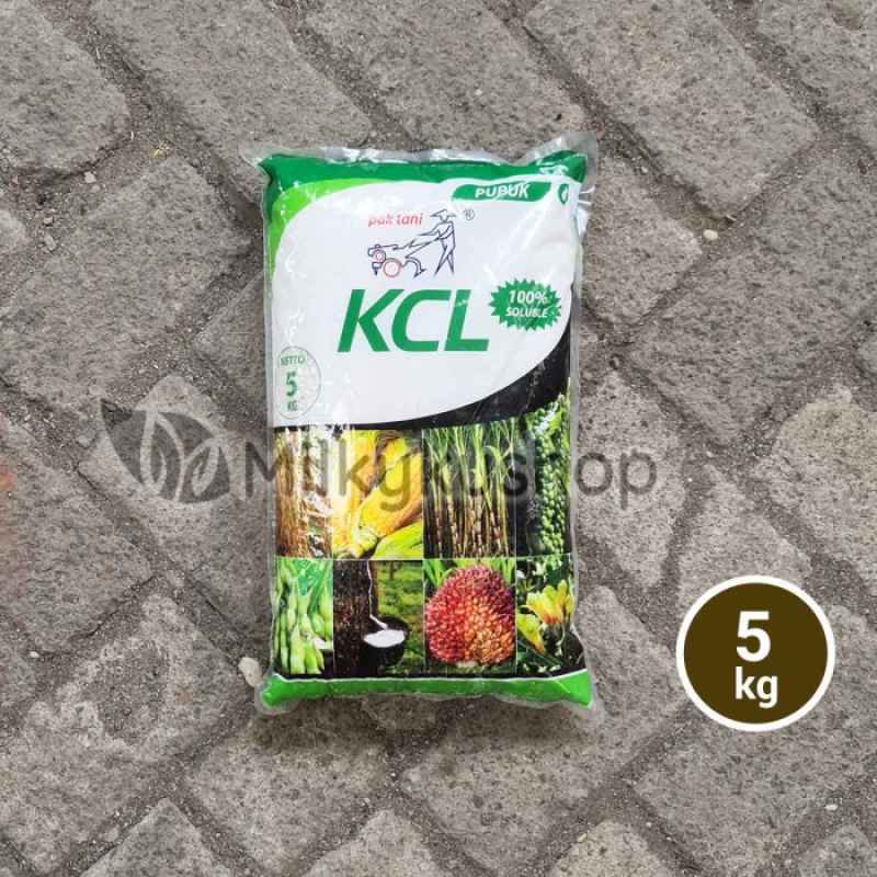 Promo Pupuk Pak Tani Kcl Putih 5 Kg Kemasan Pabrik Diskon 9% Di Seller ...