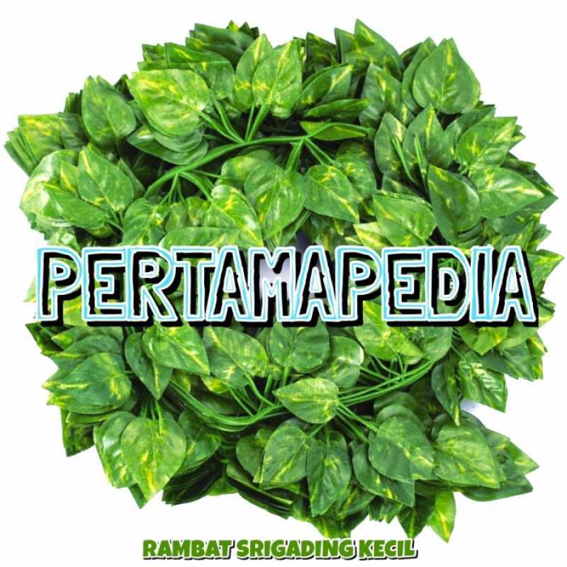 Promo Lusinan Anggur Kecil/daun Rambat/rumput Plastik/busa Bunga/oasis ...