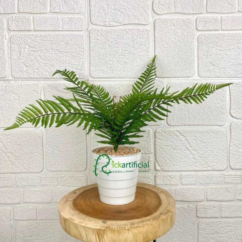 Promo Tanaman Hias Daun Pakis Boston Group Latex Artificial Pot Ulir ...