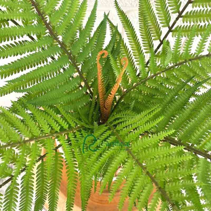 Promo Tanaman Hias Daun Pakis Boston Group Latex Artificial Pot Ulir ...