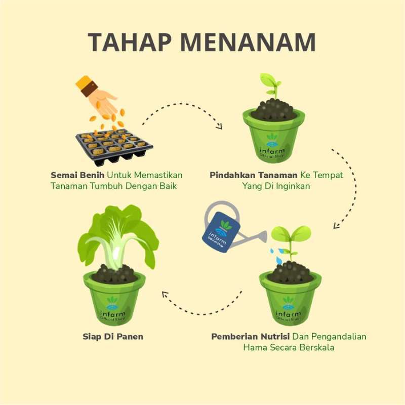 Jual Infarm Benih Premiumrz Rijk Zwaan Mondai Selada Oakleaf Lettuce 25 ...