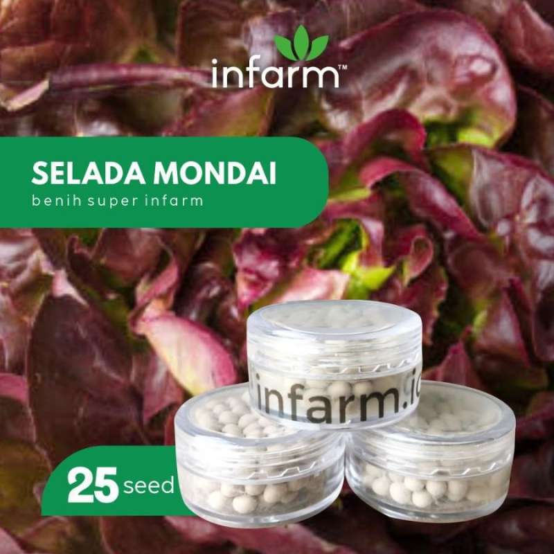 Jual Infarm Benih Premiumrz Rijk Zwaan Mondai Selada Oakleaf Lettuce 25 ...