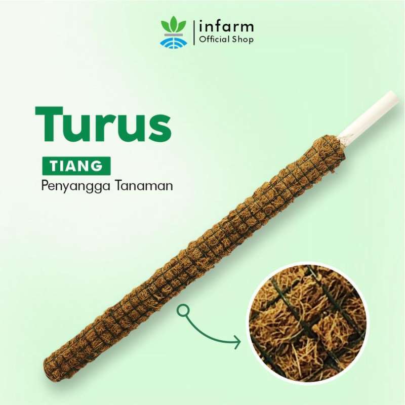 Jual Infarm Turus Penyangga Tanaman Rambat 60 Cm Sabut Kelapa Turus ... Jual Infarm Turus Penyangga Tanaman Rambat 60 Cm Sabut Kelapa Turus ...