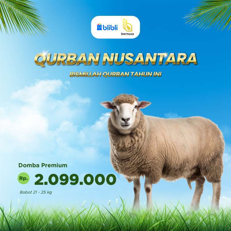 Jual Bernusa - Domba Premium Qurban Nusantara Di Seller Bernusa - Ceger, Kota Jakarta Timur | Blibli