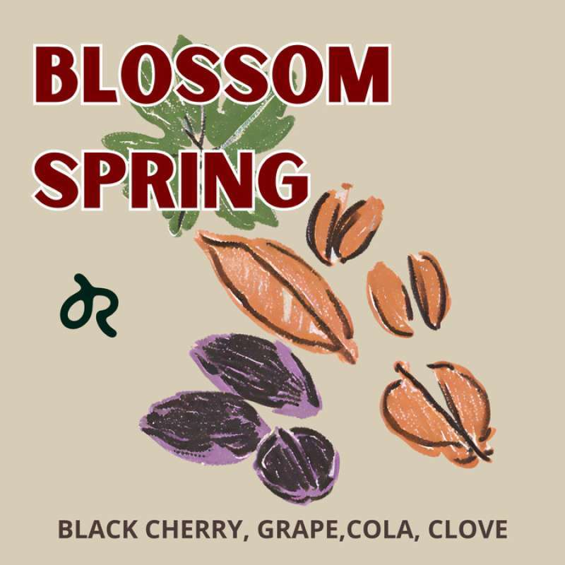 Jual Biji Kopi Single Origin, Roasted Beans Ijen Cm Natural Di Seller ...