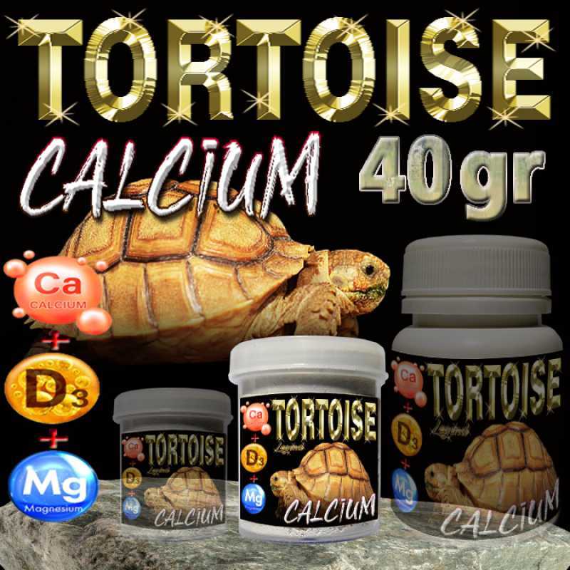 Promo Tortoise Kalsium Bubuk +d3 Calcium Powder Reptile Suplemen ...