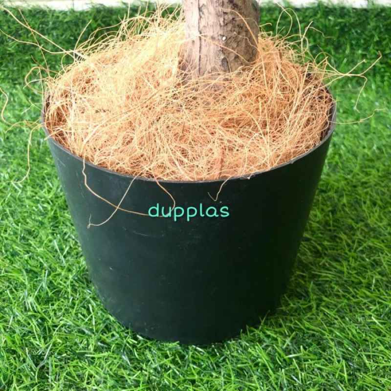 Promo Pohon Daun Magnolia Latex T120 Besar Artificial Pot Dasar Sebut ...