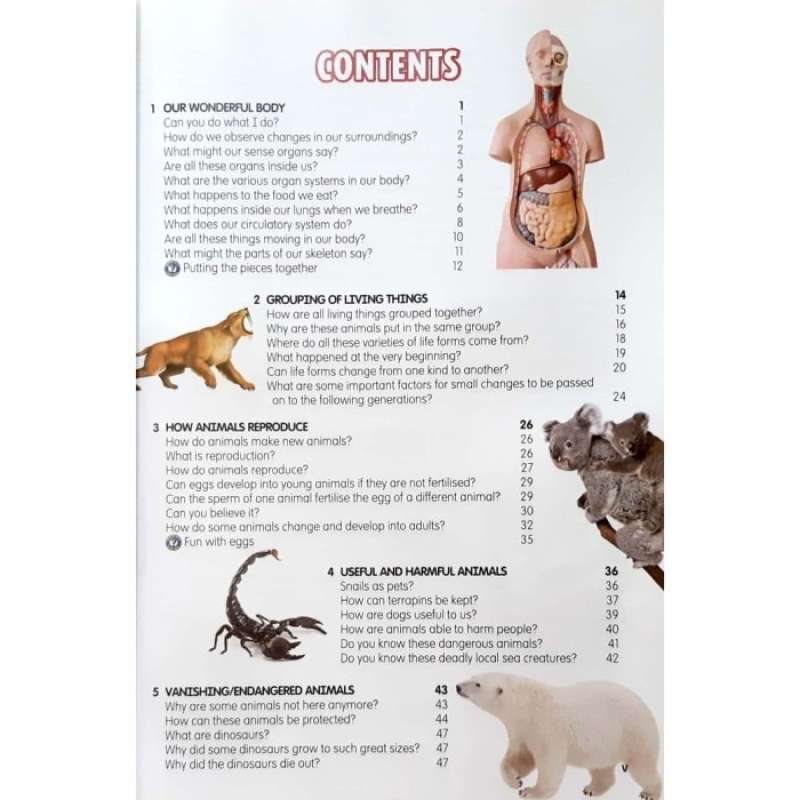 Promo Mini Science Encyclopedia 8th Edition Diskon 25% Di Seller Huka ...