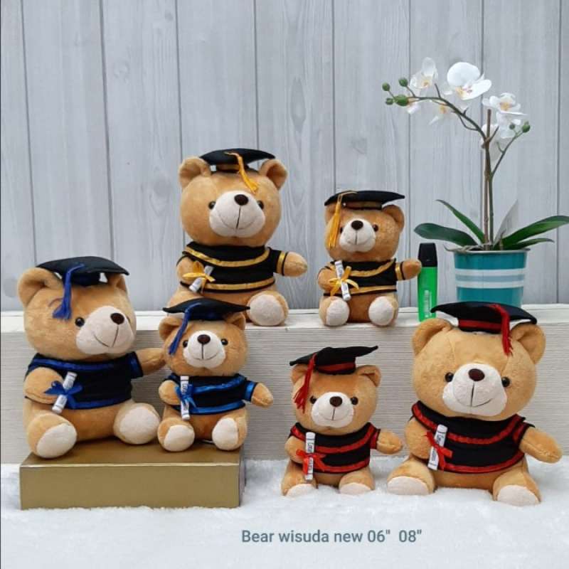 Jual Boneka Toga Wisuda Teddy Bear Beruang Graduation Souvenir Kampus ...