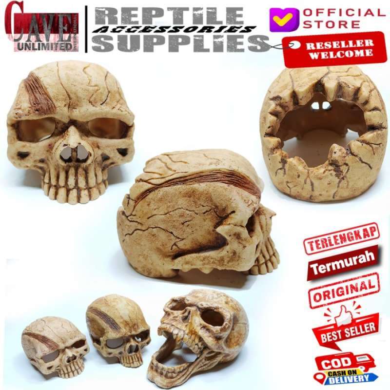 Promo Tengkorak Kepala Hs007 Hiding Cave Skull Terrarium Reptile Gecko ...