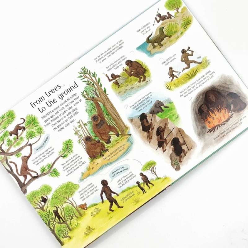 Promo Usborne See Inside Evolution Diskon 23% Di Seller Sumijayeti Store - Kebon Kacang, Kota ...