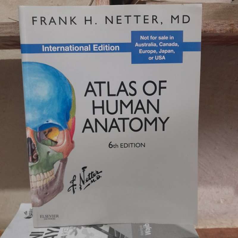 Promo Atlas Of Human Anatomy 4th Edition - Frank H. Netter, Md Diskon ...