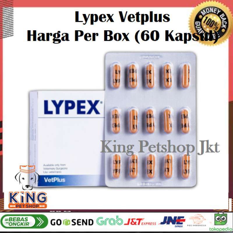 Promo Lypex Vetplus - Enzim Anti Diare Kucing Anjing - Per Box (60 Kapsul) Diskon 23% Di Seller ...