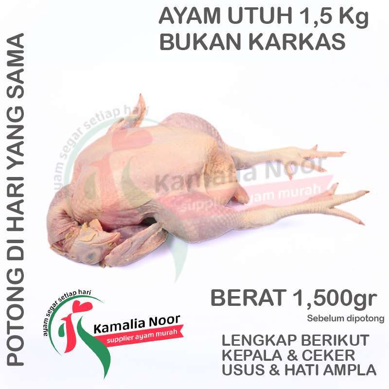 Promo Fresh Ayam Utuh Segar 1,5 Kg - Lengkap Ceker Kepala Usus Ati ...