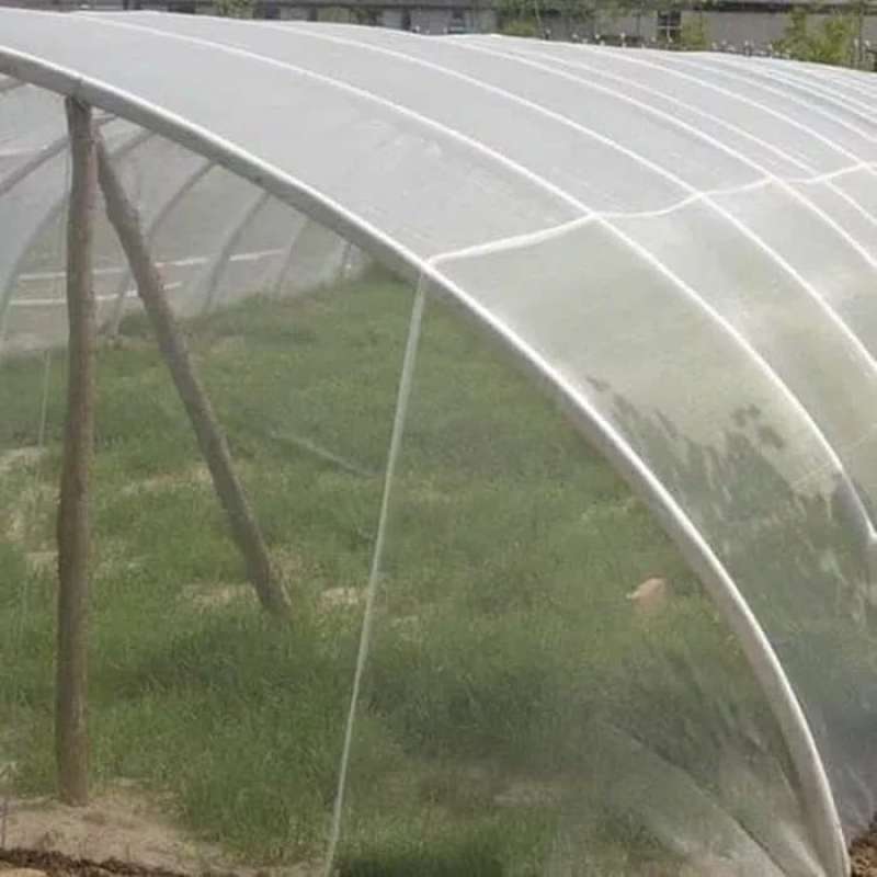Jual Insectnet(kasa Putih)/jaring Greenhouse/jaring Pengaman Tanaman ...