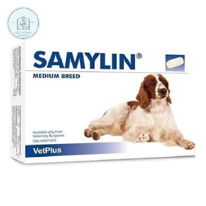 Jual Samylin Medium Breed Tablet Di Seller Momomo Petshop - Mulung, Kab ...