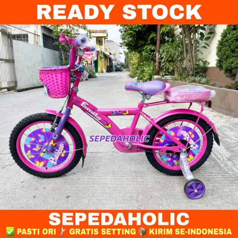 Promo Sepeda Anak Perempuan Family Flubber 16 18 Inch Usia 4-8 Tahun ...