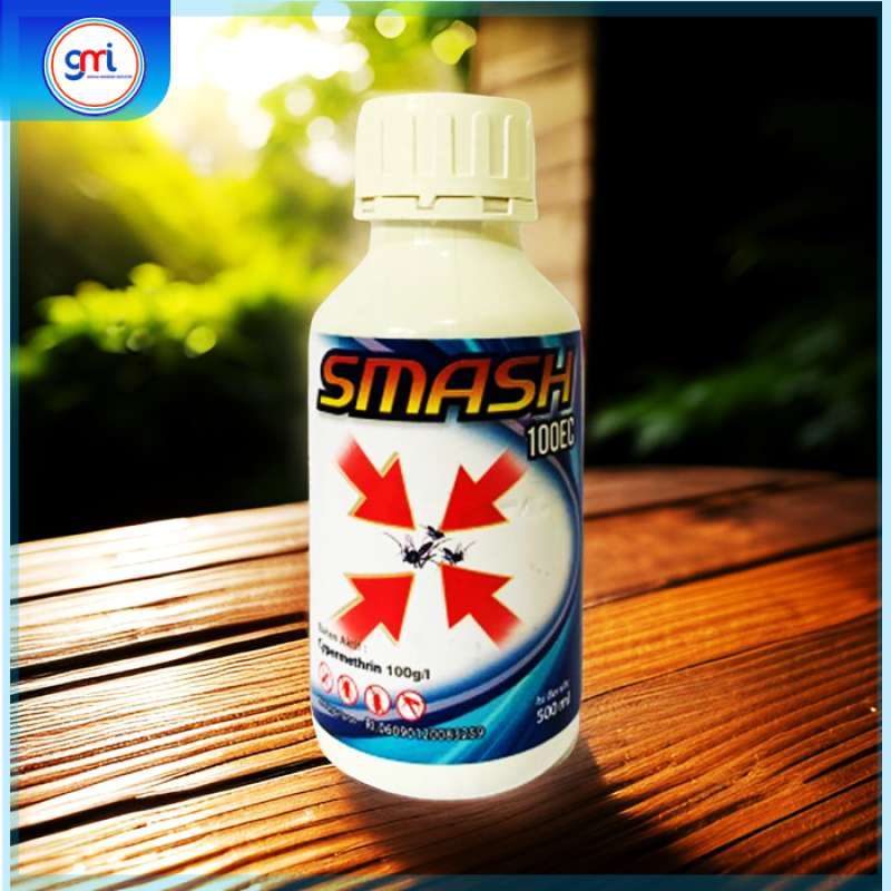 Smash Obat Gratis Ongkir 🏷️ Harga Murah November 2025