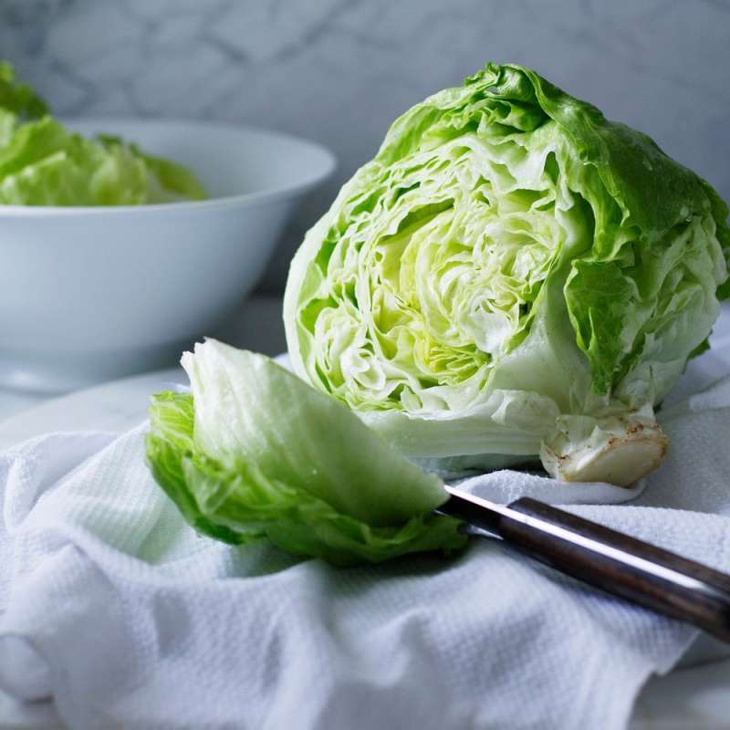 Jual HasilSumberalaM Sayur Segar Selada Iceberg / Head Lettuce 250gr ...