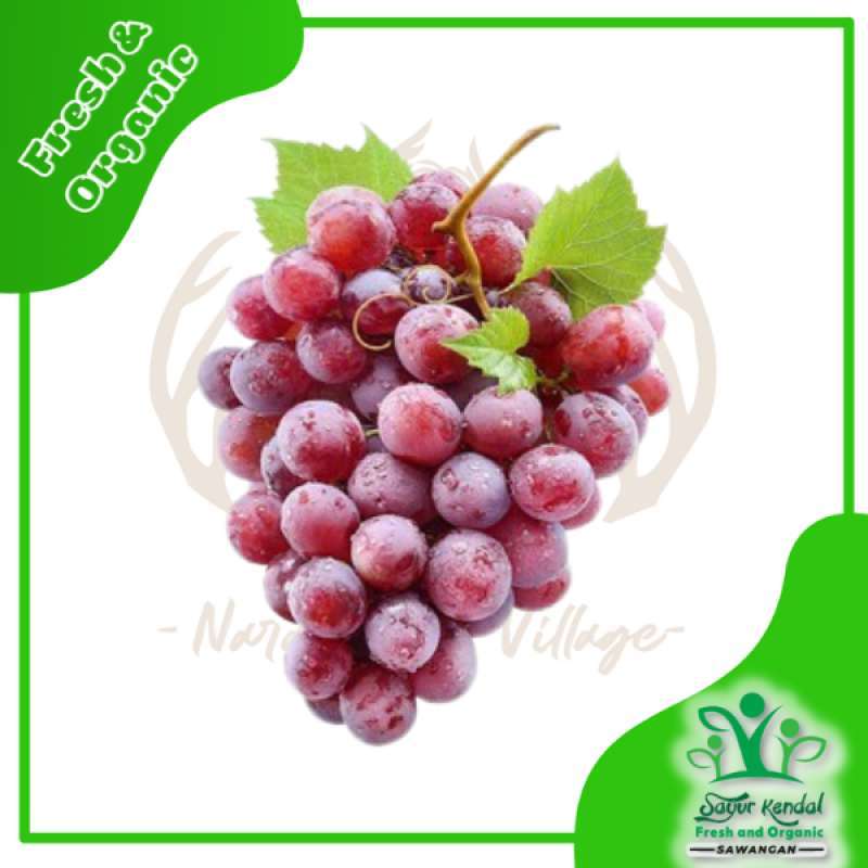 Jual Fresh Anggur Merah Segar Import Australia |500gr|sayurkendal ...