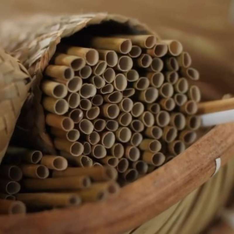 Jual Bio Straw - Sedotan Ramah Lingkungan Bahan Rumput Purun ...