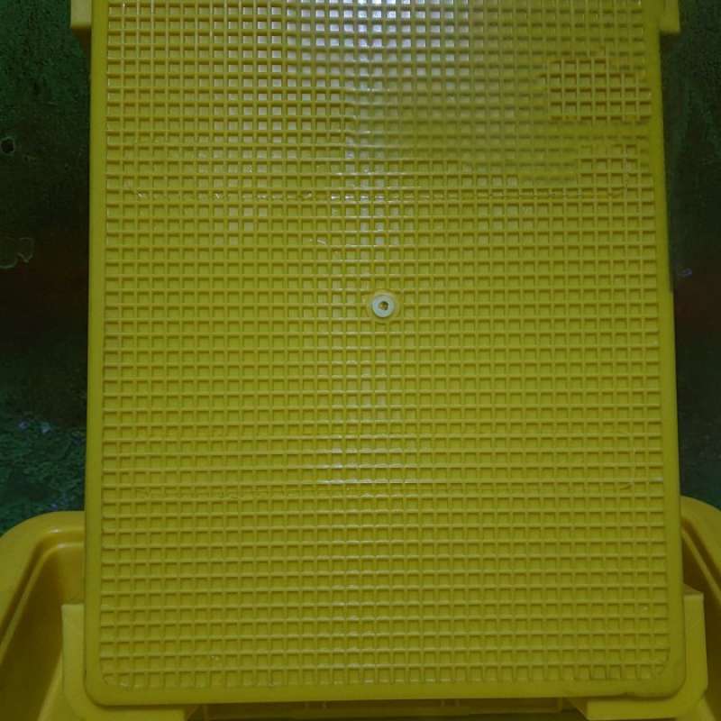 Promo Nampan/Box Container Multifungsi Rabbit Plastik Original Type ...