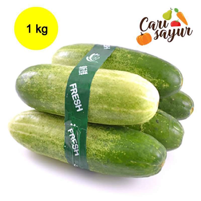 Jual Timun Per Kg Termurah - Harga Grosir Terupdate Hari Ini | Blibli
