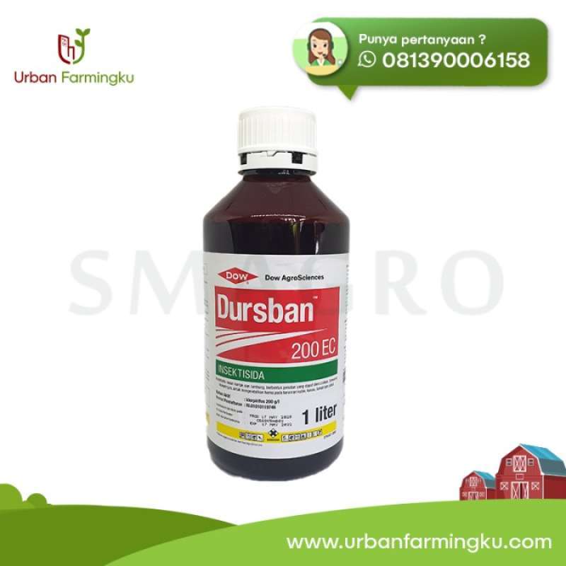 Promo Insektisida Dursban 200Ec 1 Liter Pembasmi Hama Ulat Dan Kutu ...