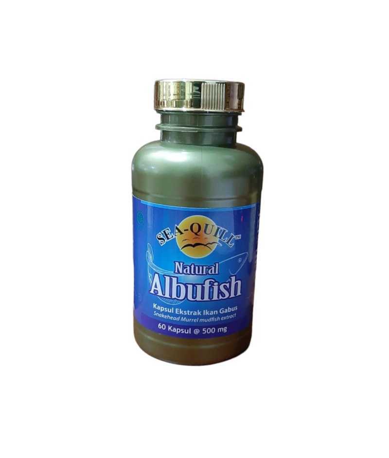 Jual Sea - Quill Natural Albufish Kapsul Ekstrak Ikan Gabus 1 Botol 60 ... Jual Sea - Quill Natural Albufish Kapsul Ekstrak Ikan Gabus 1 Botol 60 ...