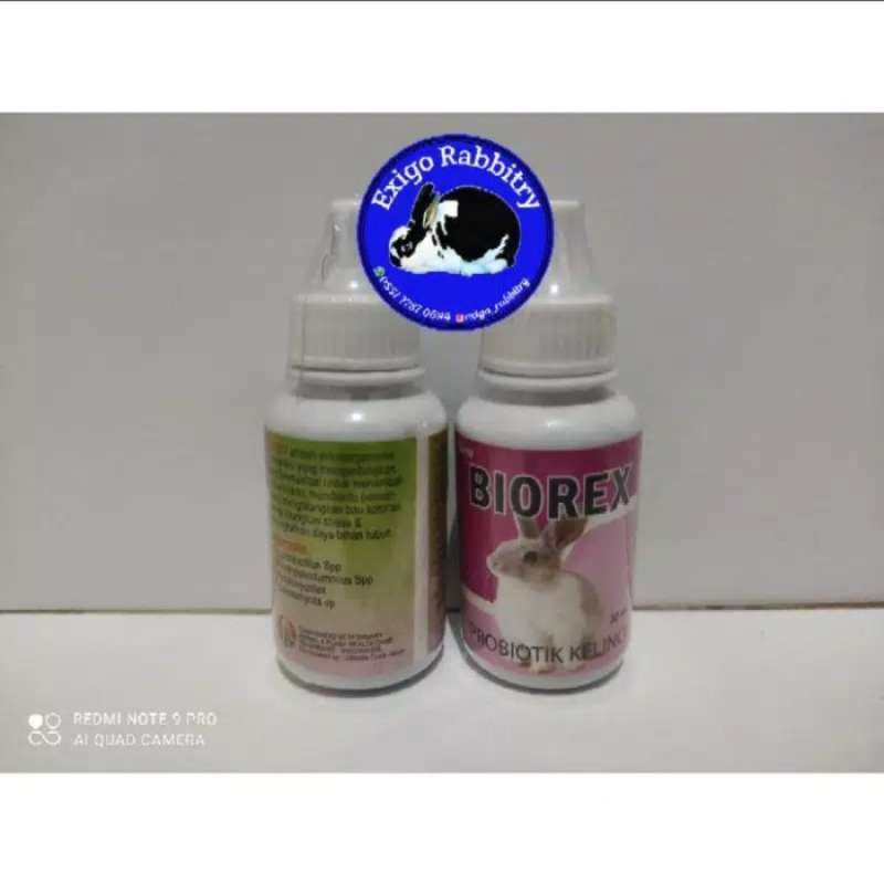 Promo Biorex, Probiotik untuk Menjaga Kesehatan dan Daya Tahan Kelinci ...
