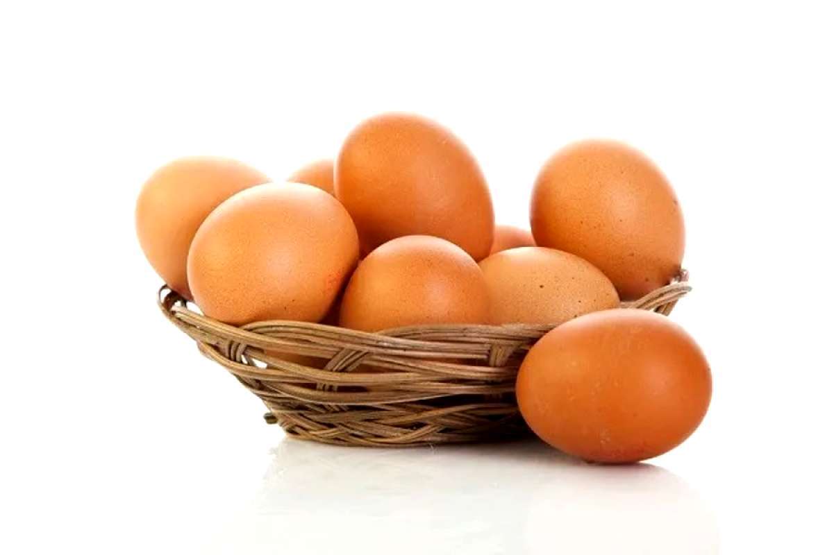 Jual Telur Ayam Negeri Bandung Bintang Telur Segar [ 450g ] Di Seller ...