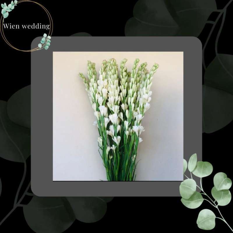 Jual Bunga Sedap Malam Super Dan Fresh Di Seller Wien Wedding ...