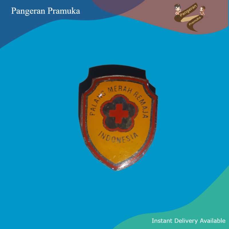 Jual Pin Pmr wira kuning resin di Seller Pangeran Pramuka - Tanimulya ...