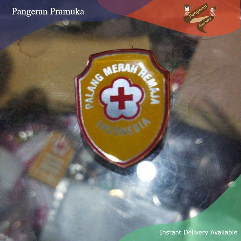 Jual Pin Pmr wira kuning resin di Seller Pangeran Pramuka - Tanimulya ...