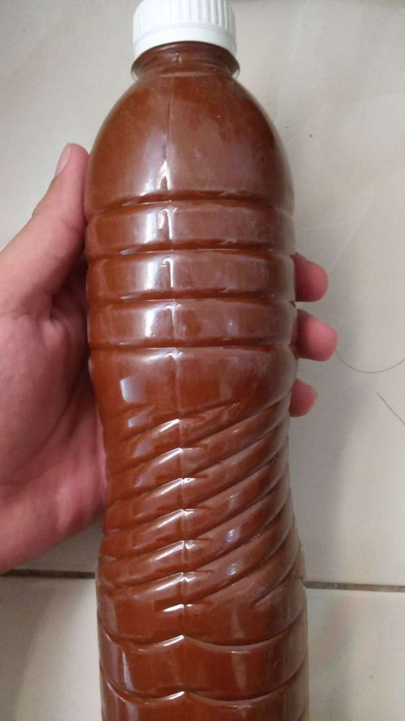 Jual Politur Plitur Water Based kayu jati dan kayu mahoni woodnesia di ...