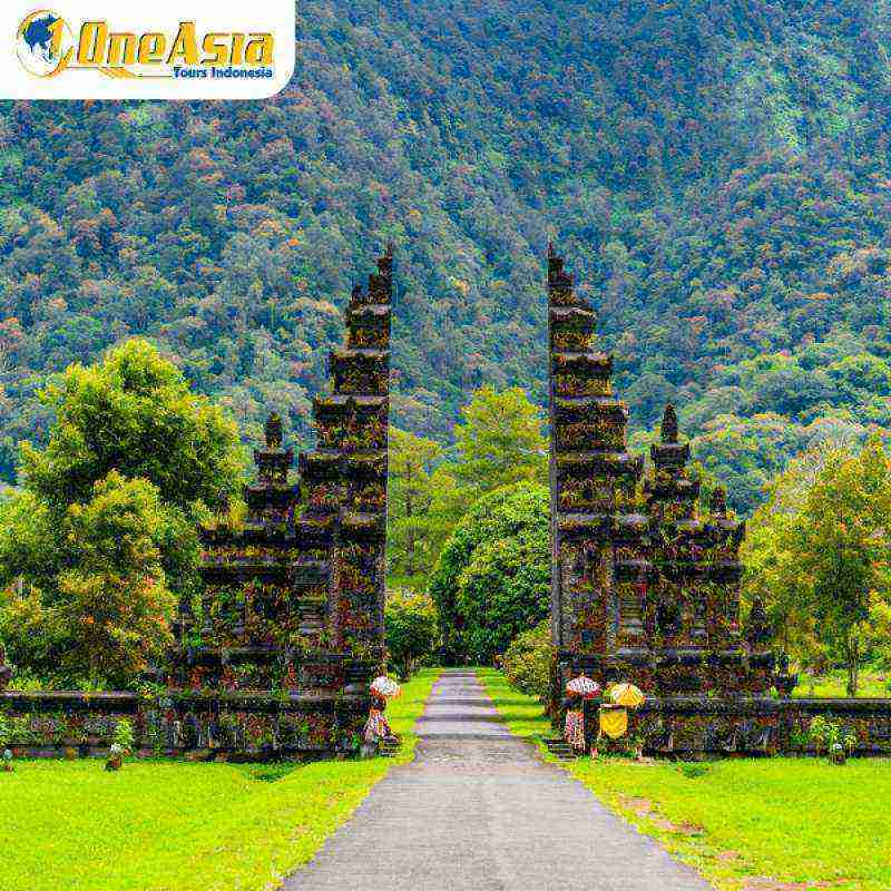 Jual Oneasia - Bali Nusa Penida Package 5d/4n Di Seller Oneasia Tours Indonesia - Rawa Buntu ...