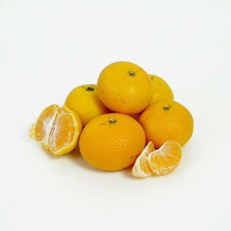 Jeruk Ponkam 1 Kg Gratis Ongkir 🔥 Harga Murah Maret 2025