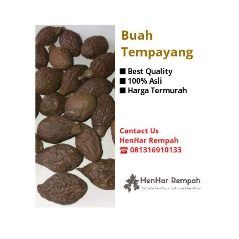 Promo Buah Tempayang / Buah kembang semangkok / Beng ta hai 1 Kg Diskon ...