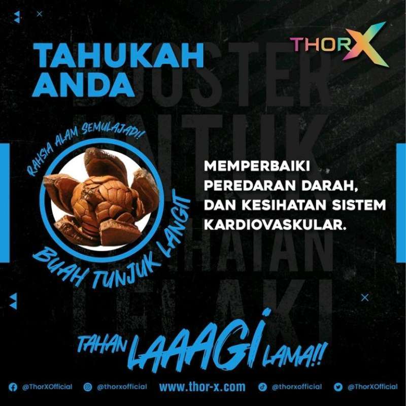 Jual ThorX Full Pack Original Isi 10 Sachet di Seller SalsaKartika Herbal - Kedoya Utara, Kota ...