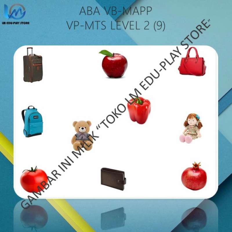 Promo Kartu Belajar FLASHCARD VB-MAPP VP-MTS Level 2 (9) - Laminating ...