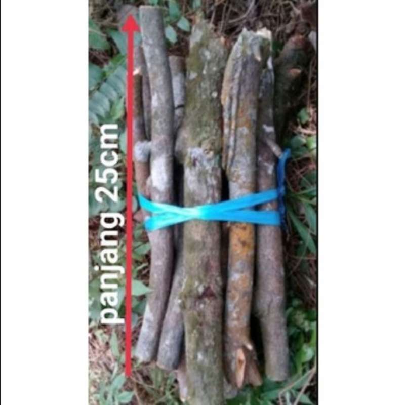 Jual Ranting Kayu Bakar / Kayu Bakar Kering - 1000gr Di Seller Kendy ...