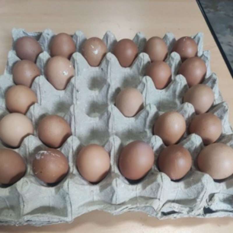 Jual Telur Ayam Negeri Per Kg Isi 20 - 23 Butir Di Seller Sajira Farm ...