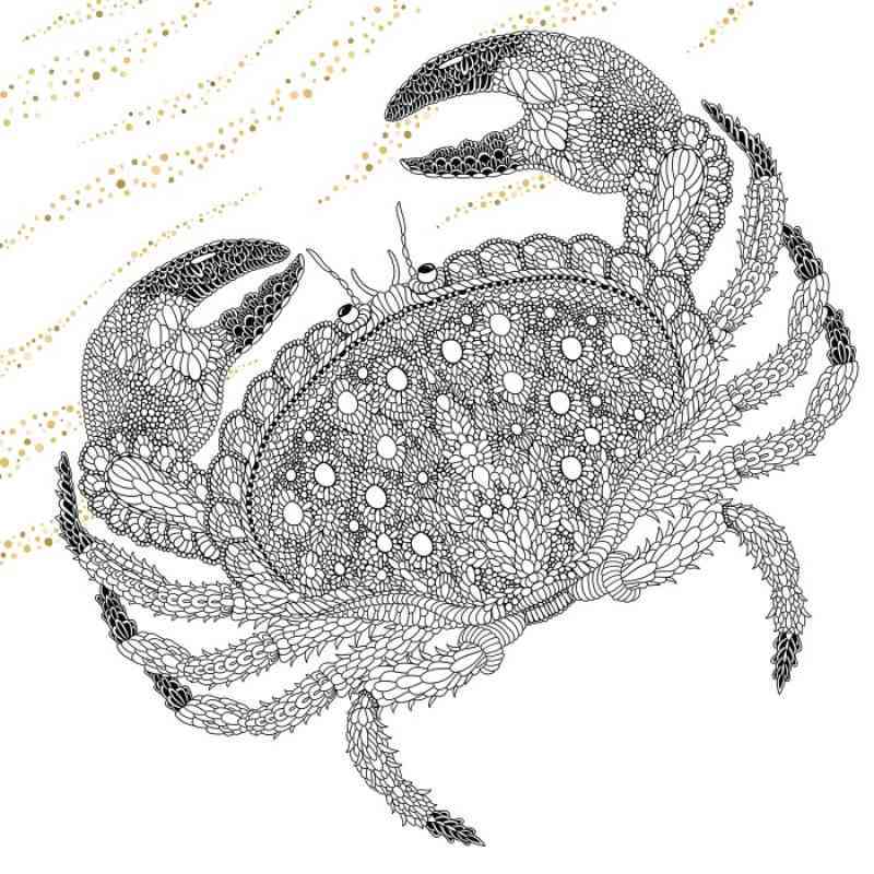 Promo The Aquarium Marine Portraits To Color By Richard Merritt Diskon ...